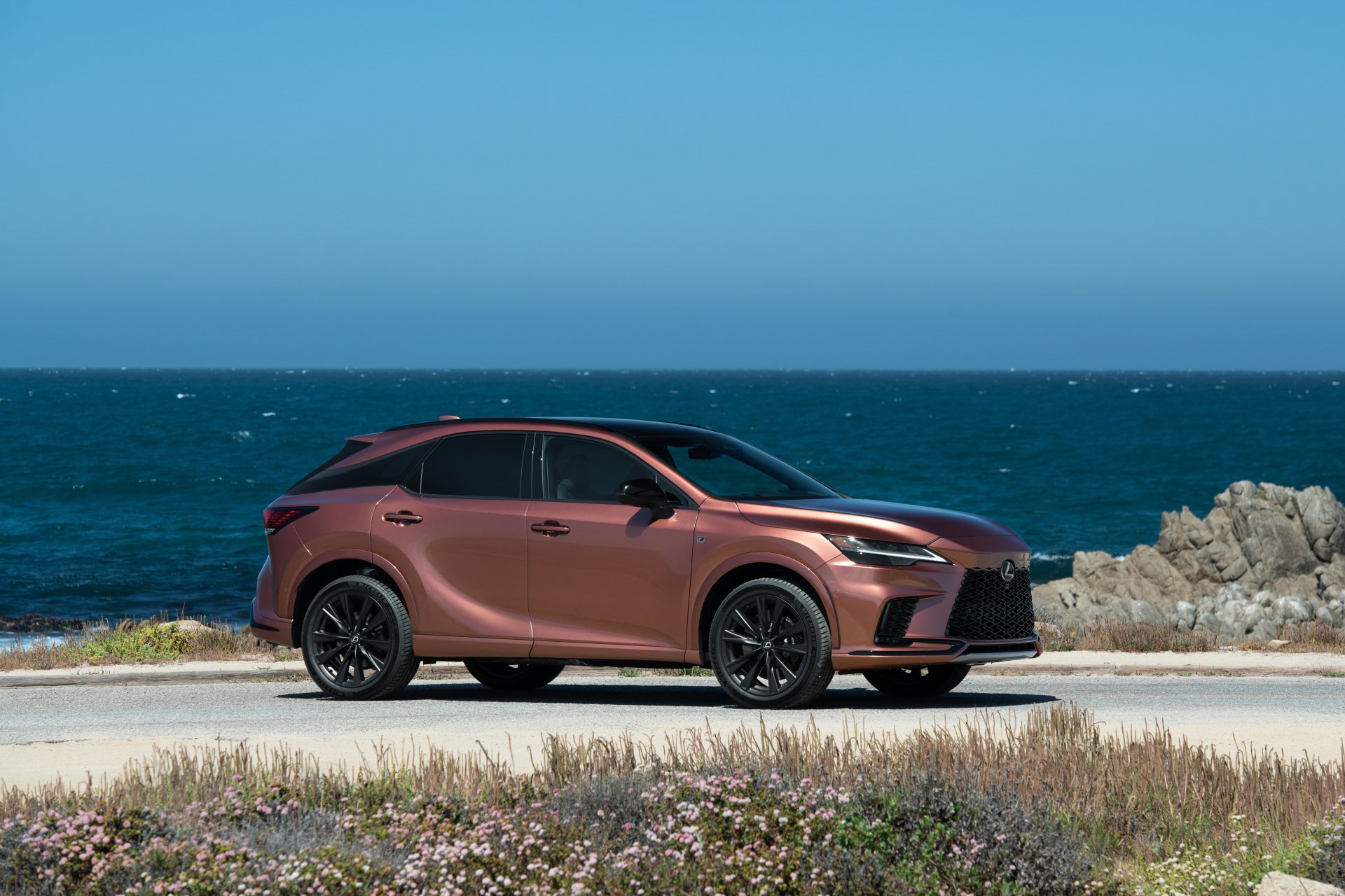 Download Vehicle Lexus RX 500h 4k Ultra HD Wallpaper