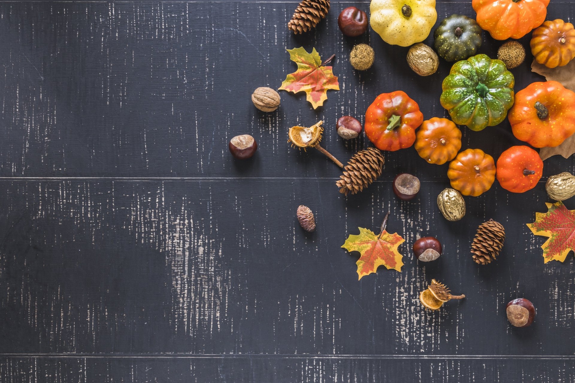 Download Fall Photography Still Life 4k Ultra HD Wallpaper