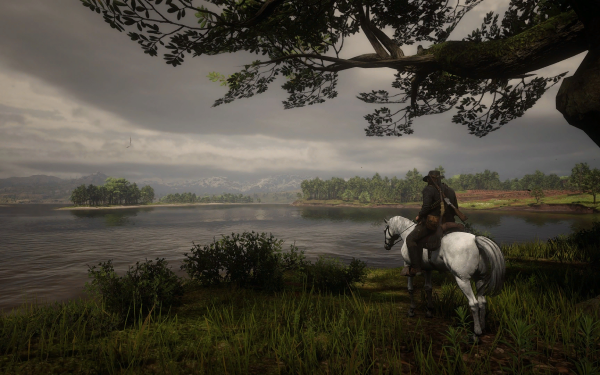 Red Dead Redemption 2 - Desktop Wallpapers, Phone Wallpaper, PFP, Gifs ...