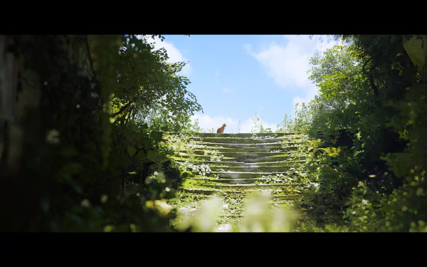 [110+] Stray Wallpapers