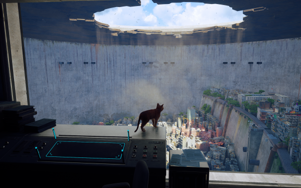 Stray - Desktop Wallpapers, Phone Wallpaper, PFP, Gifs, and More!