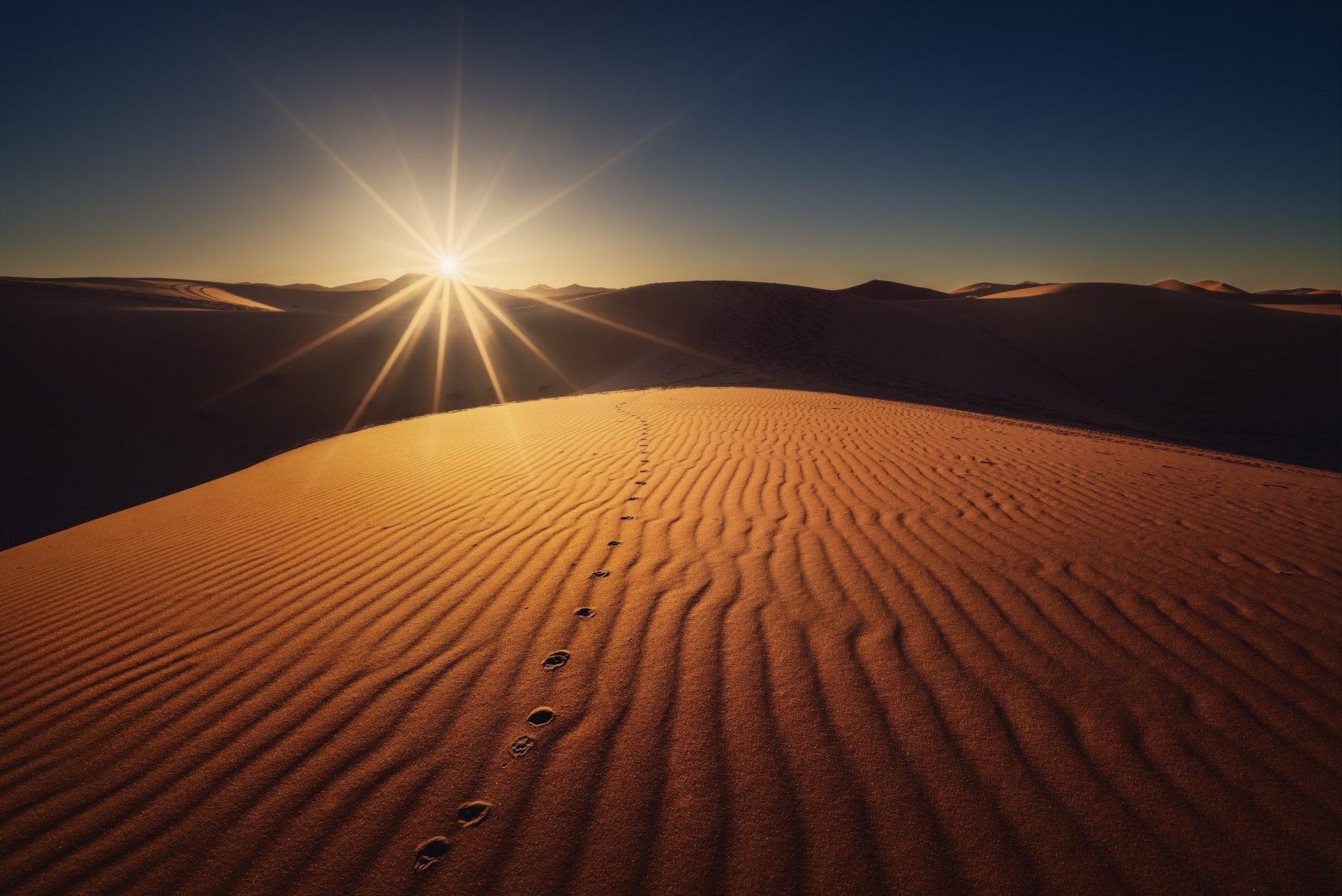 Sunrise - Desktop Wallpapers, Phone Wallpaper, PFP, Gifs, and More!