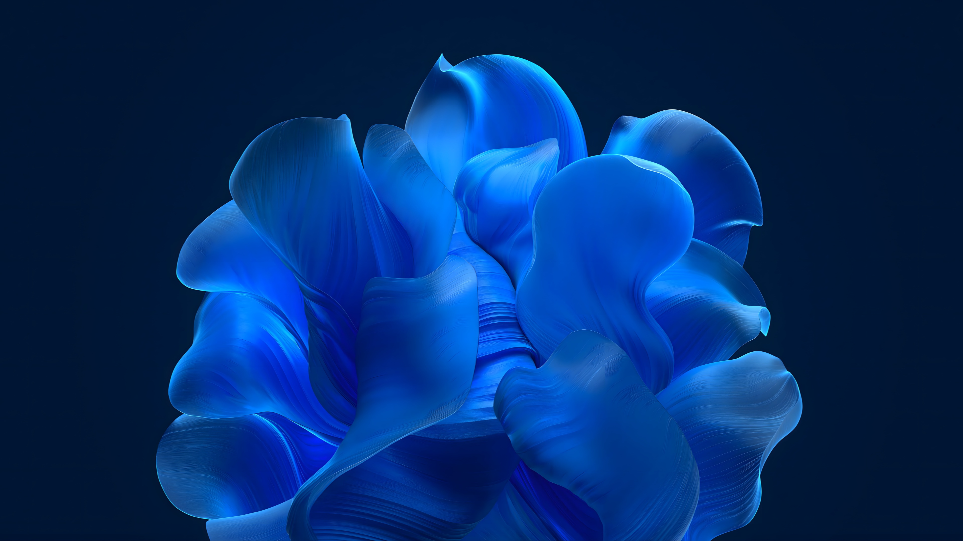 4K Ultra HD Abstract Blue Bloom