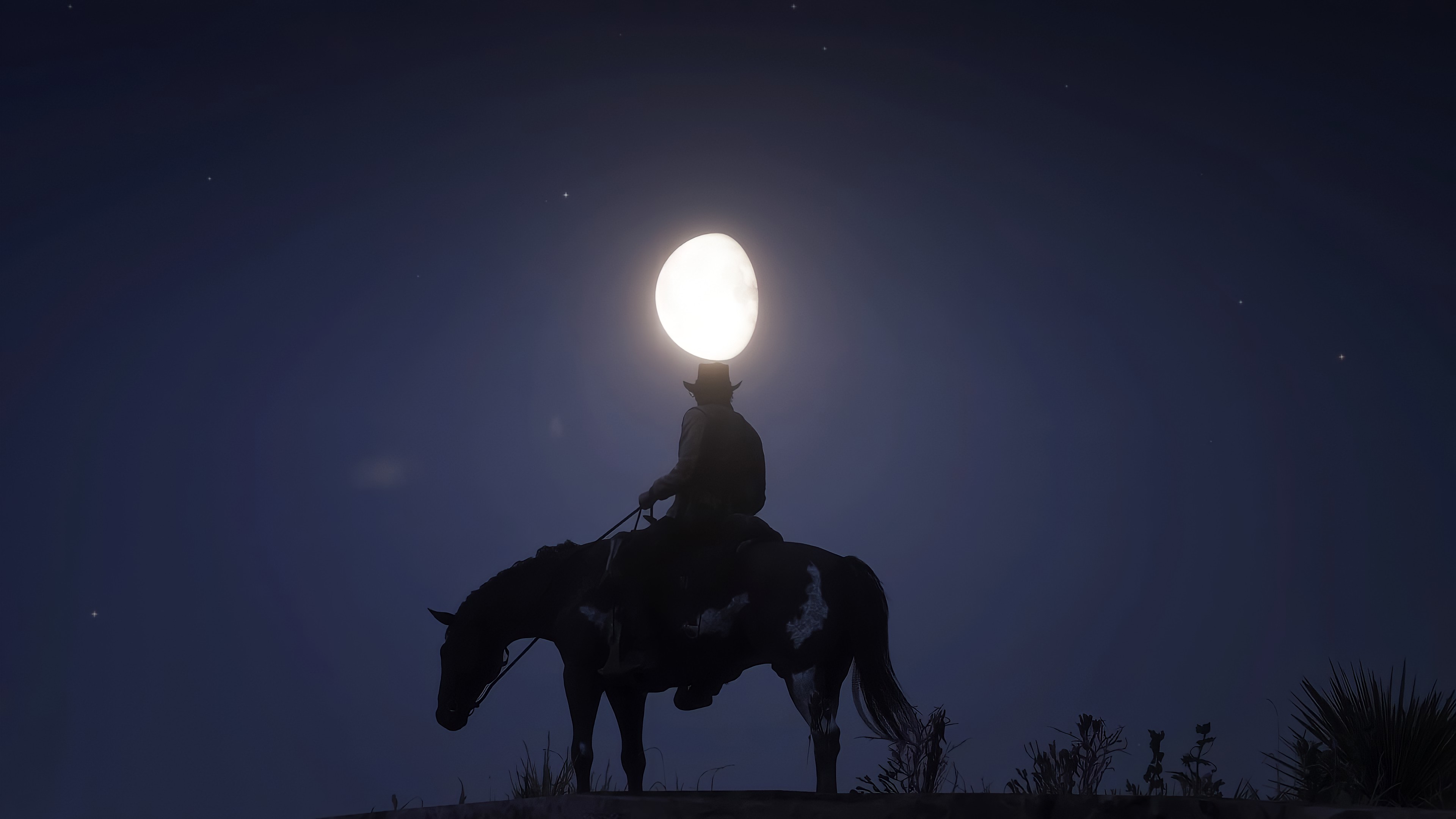 Red Dead Redemption 2 - Night by Martillo