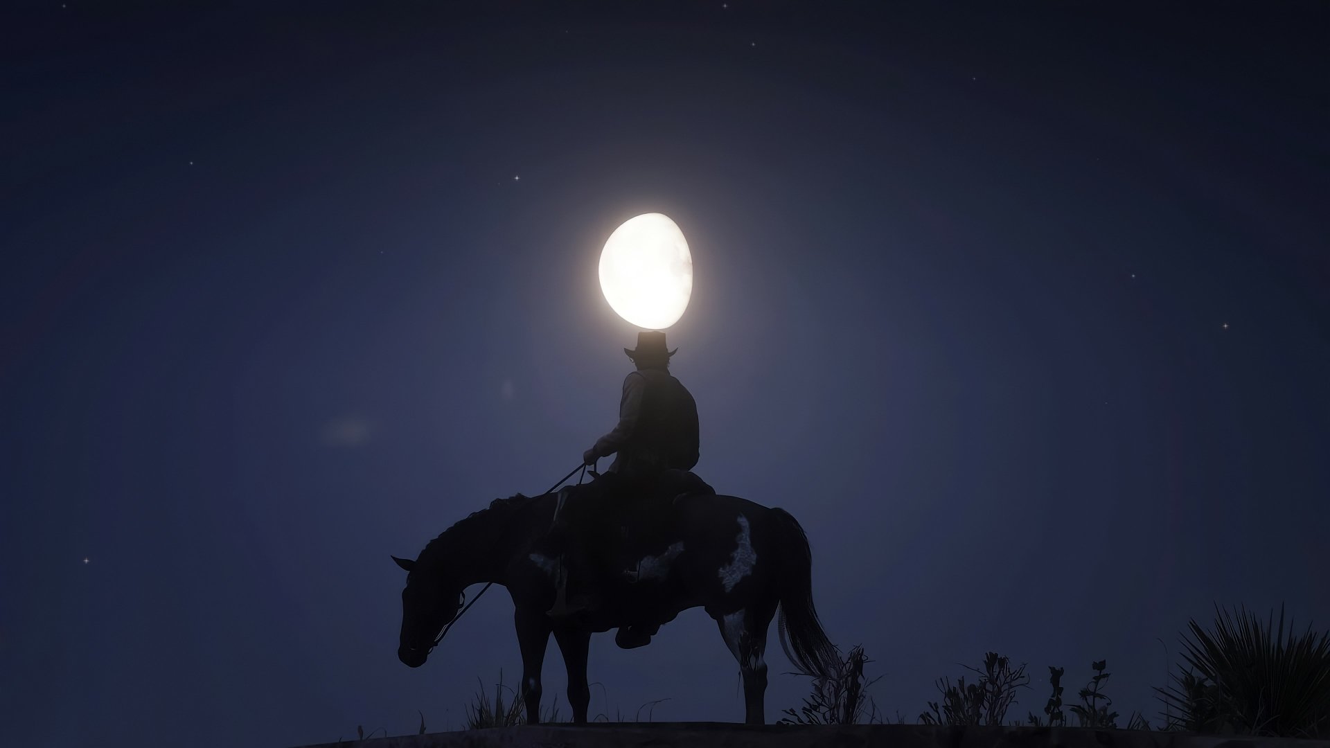 Red Dead Redemption 2 - Night by Martillo