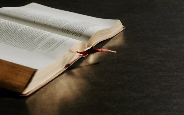 [250+] Book 4k Wallpapers