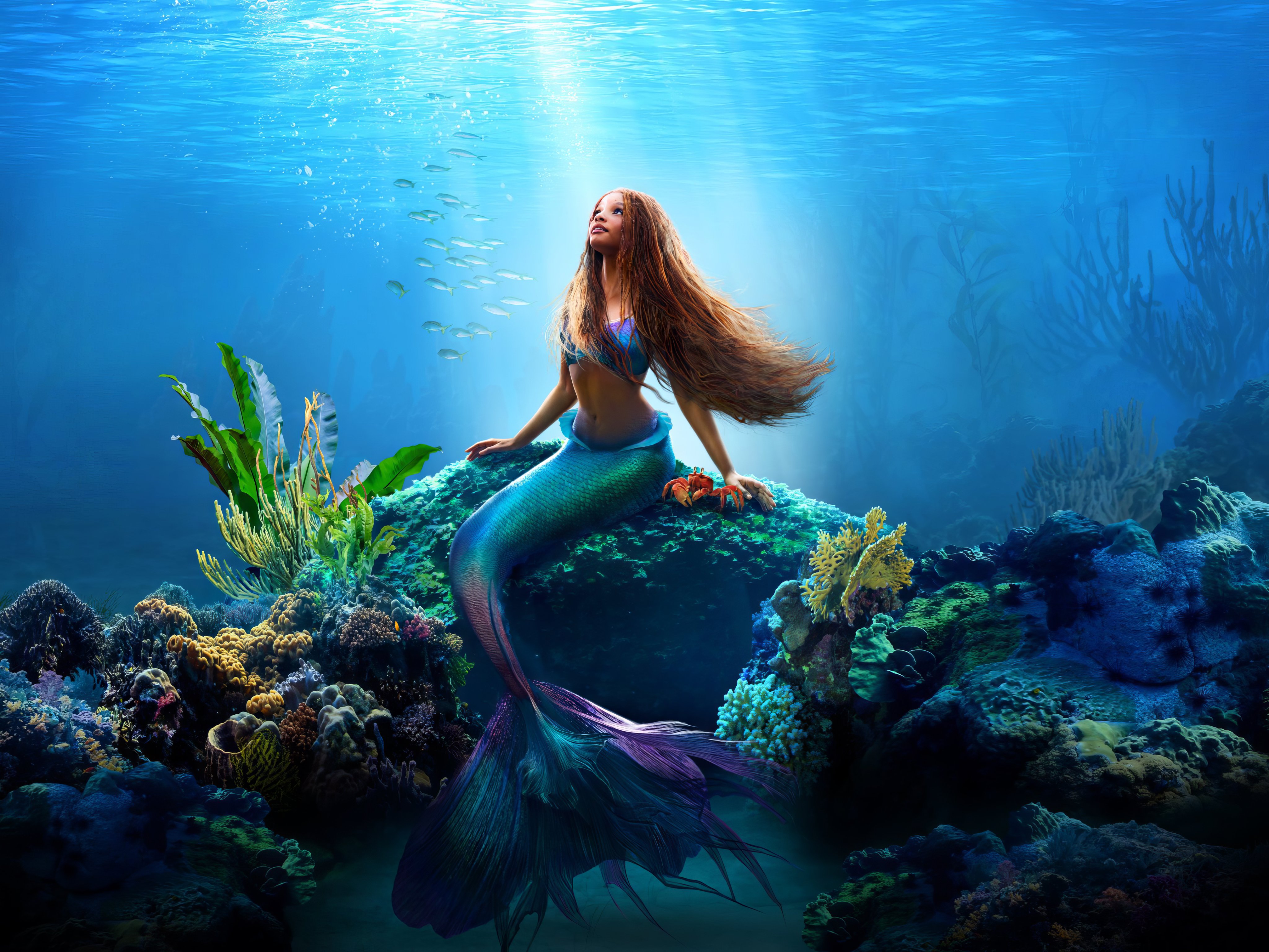 Movie The Little Mermaid 2023 4k Ultra HD Wallpaper All For One Movie The Little Mermaid 2023 4k Ultra HD Wallpaper All For One