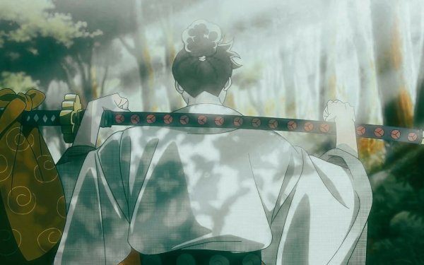 Ryuma (One Piece) - Desktop Wallpapers, Phone Wallpaper, PFP, Gifs, and ...