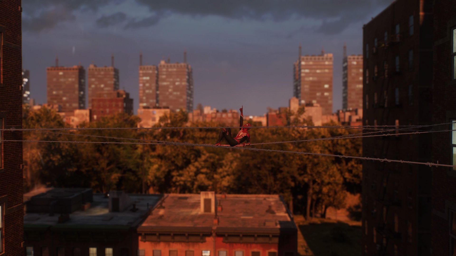 Spider-Man Sunset by Osty