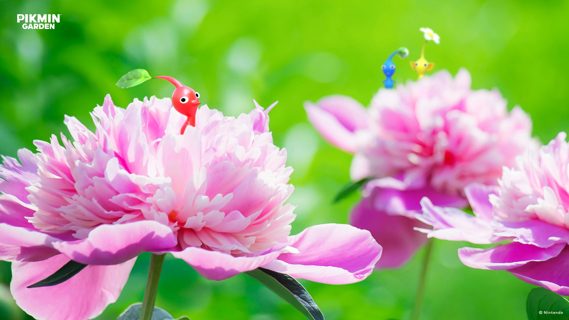 Download Pikmin 4k Ultra HD Wallpaper