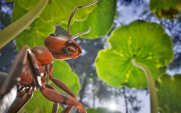 HD Wallpaper: Empire of the Ants Video Game Scene