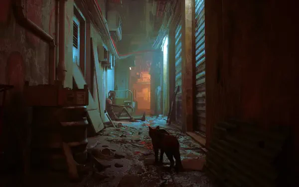 [110+] Stray Wallpapers