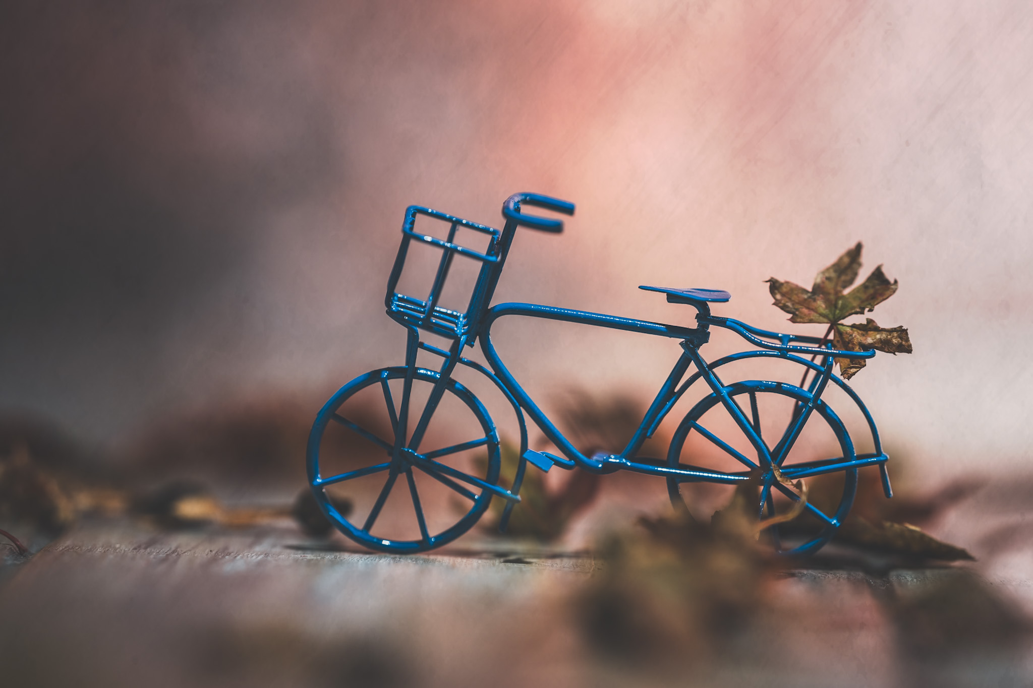 Download Macro HD Wallpaper