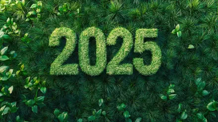 2025 - Desktop Wallpapers, Phone Wallpaper, PFP, Gifs, and More!