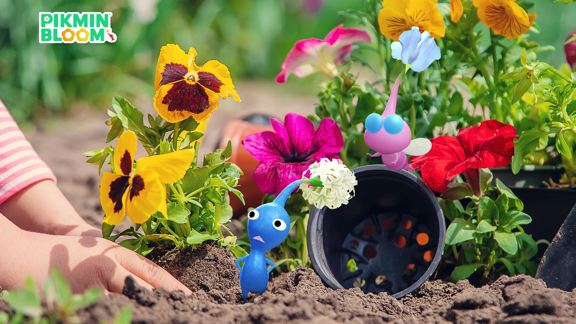 Pikmin Bloom HD Wallpaper: Vibrant Garden Adventure Unfolds