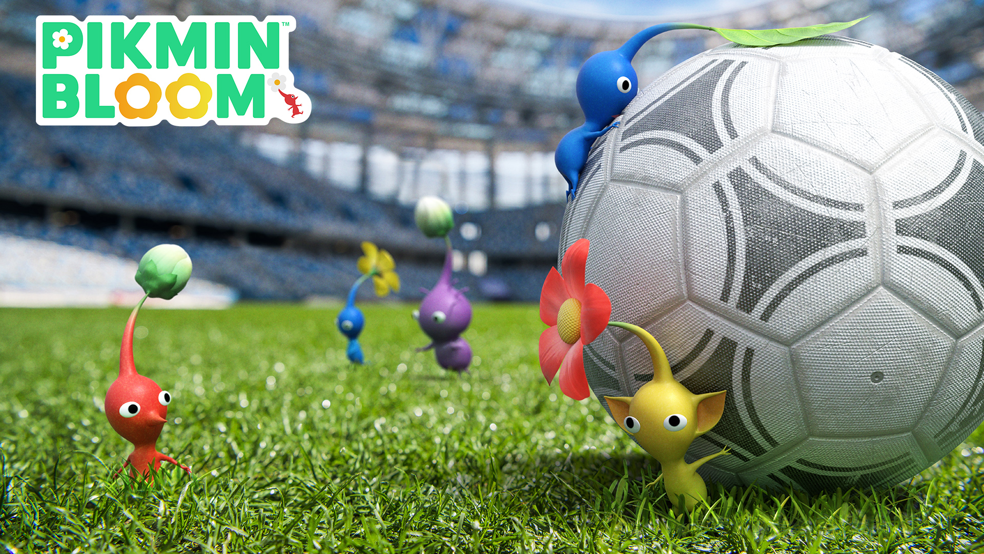 Pikmin Bloom: Stadium Soccer — HD Wallpaper