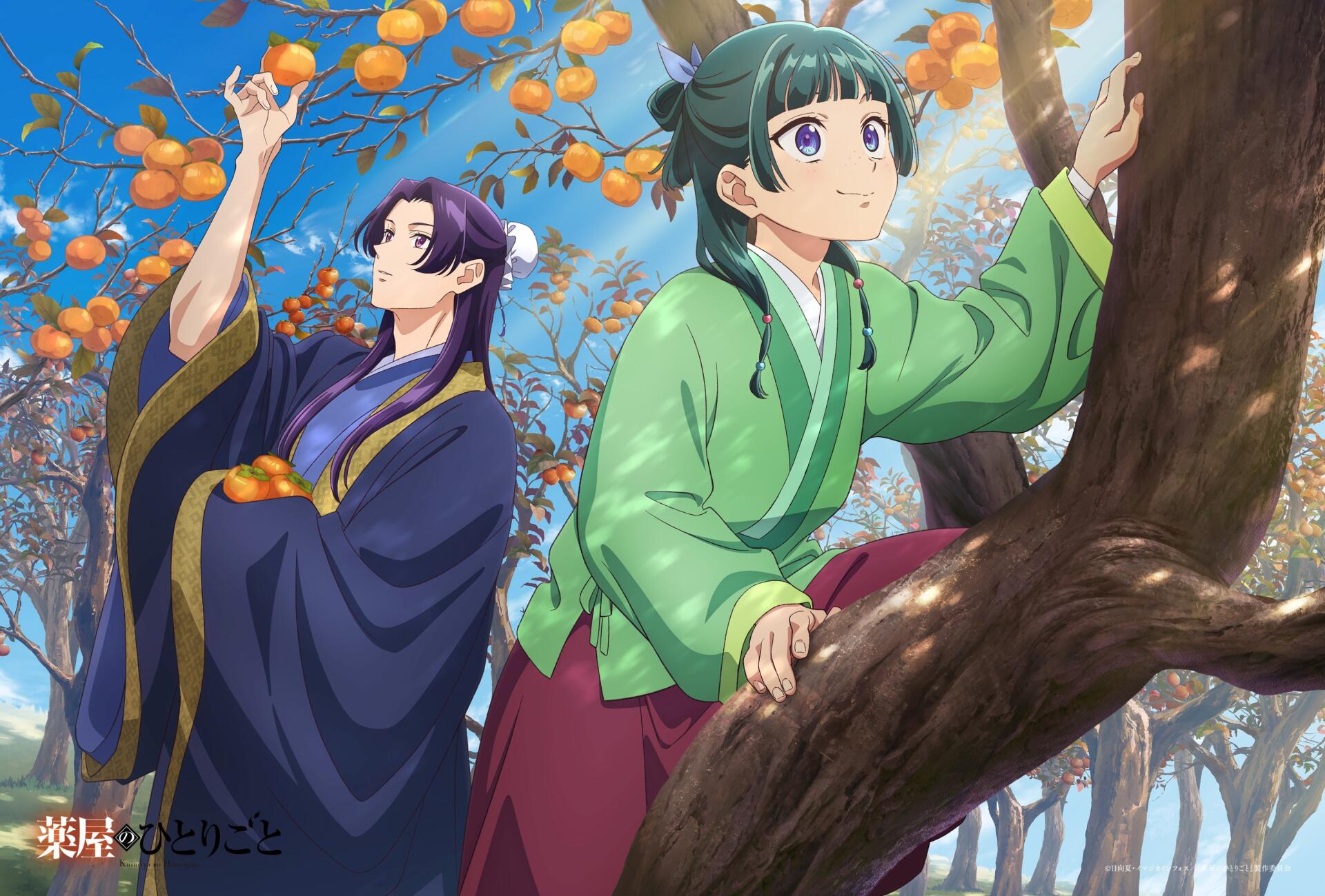 The Apothecary Diaries — Maomao & Jinshi: Orchard Bloom (HD Anime ...