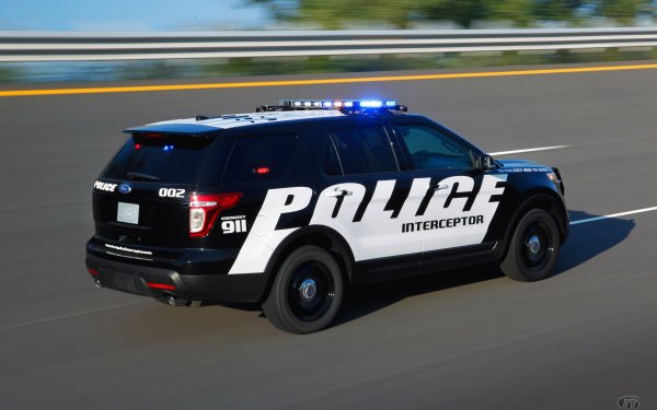 Police 4k Ultra HD Wallpaper | Background Image | 4288x2848