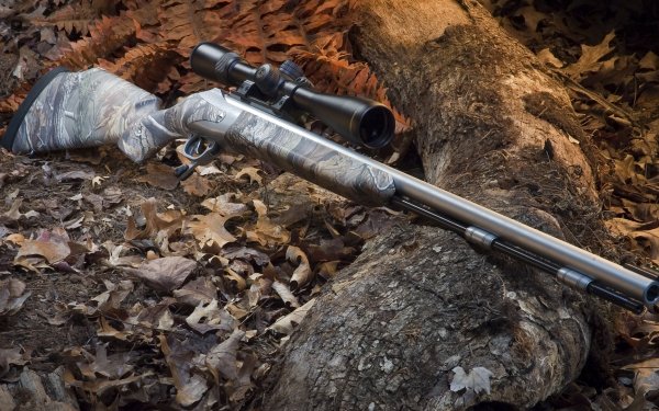 Rifle 4k Ultra HD Wallpaper | Background Image | 4608x3456