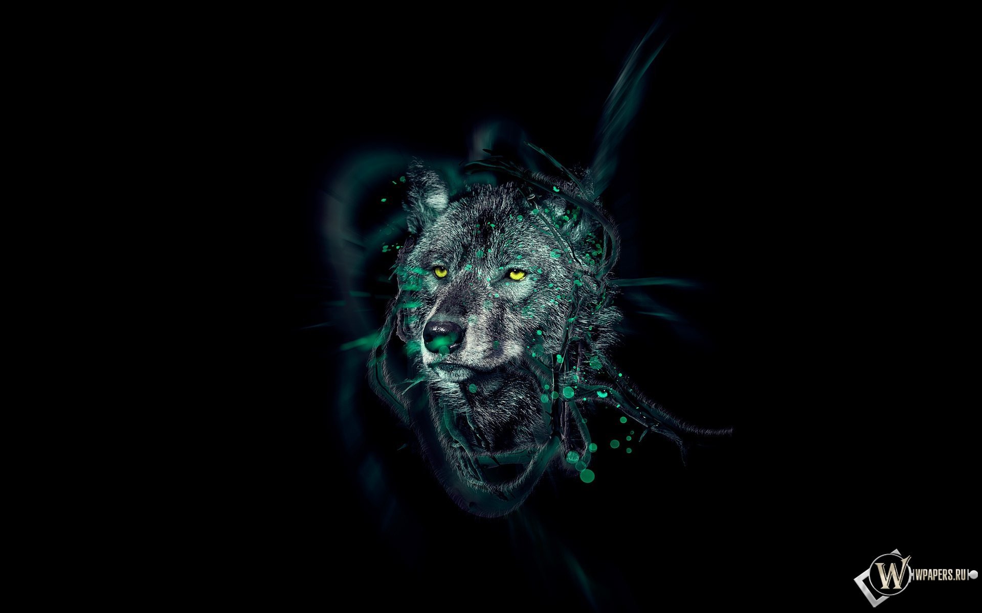 Stunning HD Wallpaper of a Majestic Wolf