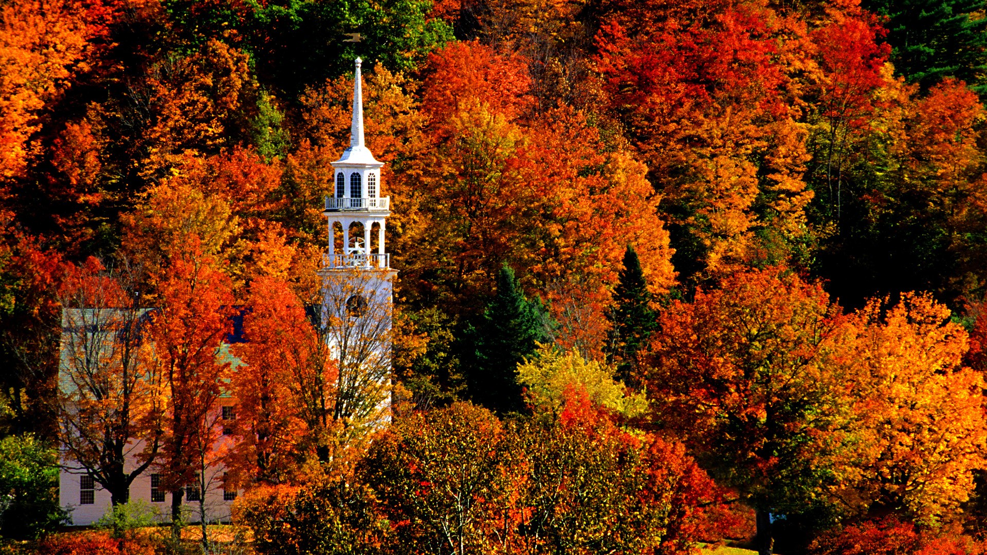 Photography Fall HD Wallpaper Background Image 1920x1080
