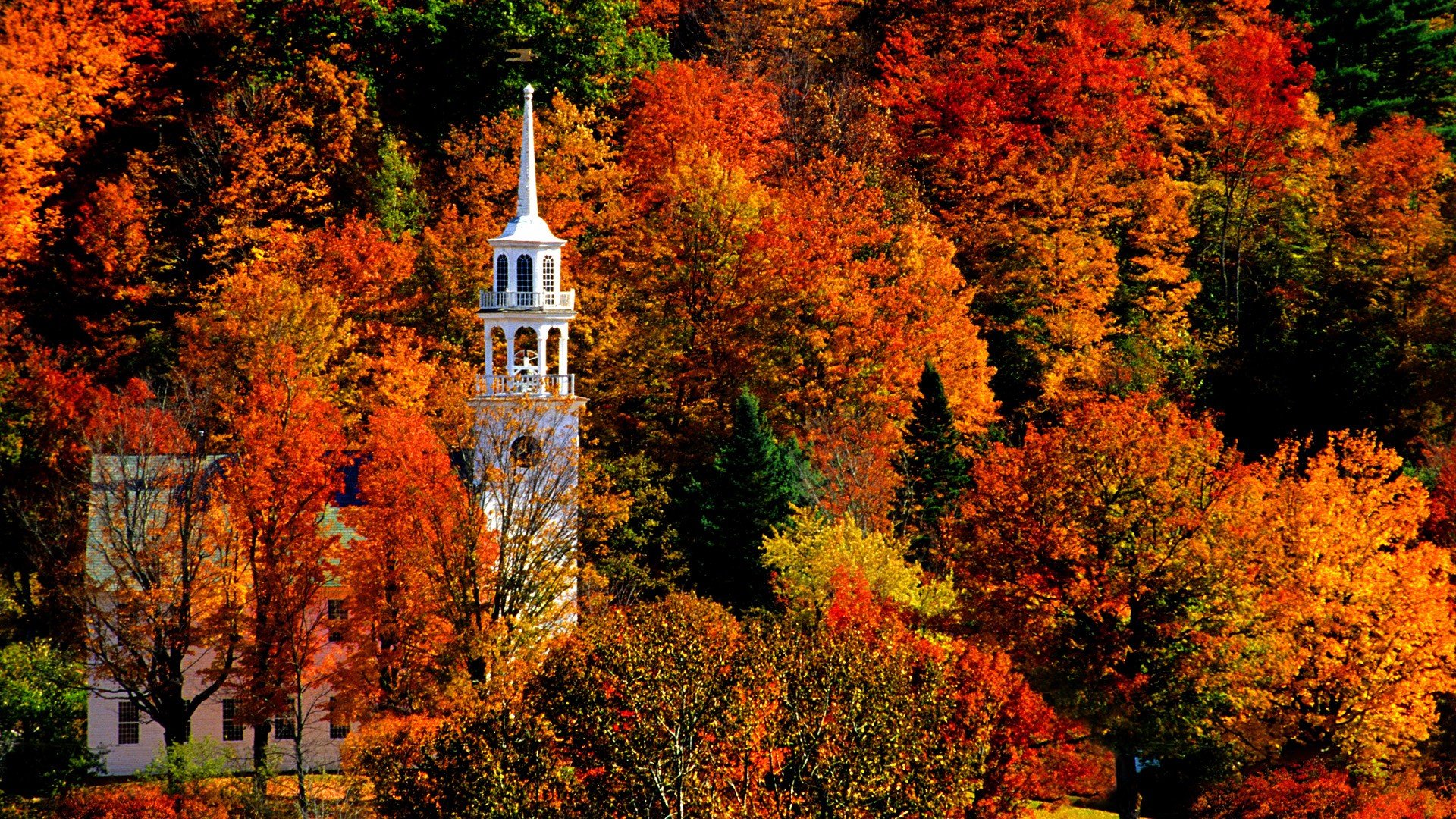 Autumn Steeple: HD Fall Photography Wallpaper