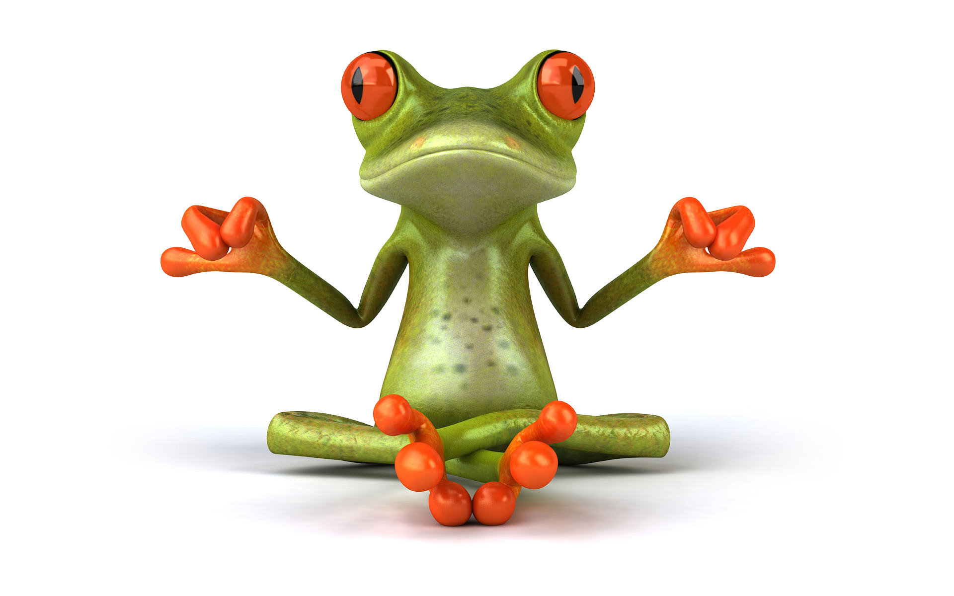 Yoga Frog Yoga Frog