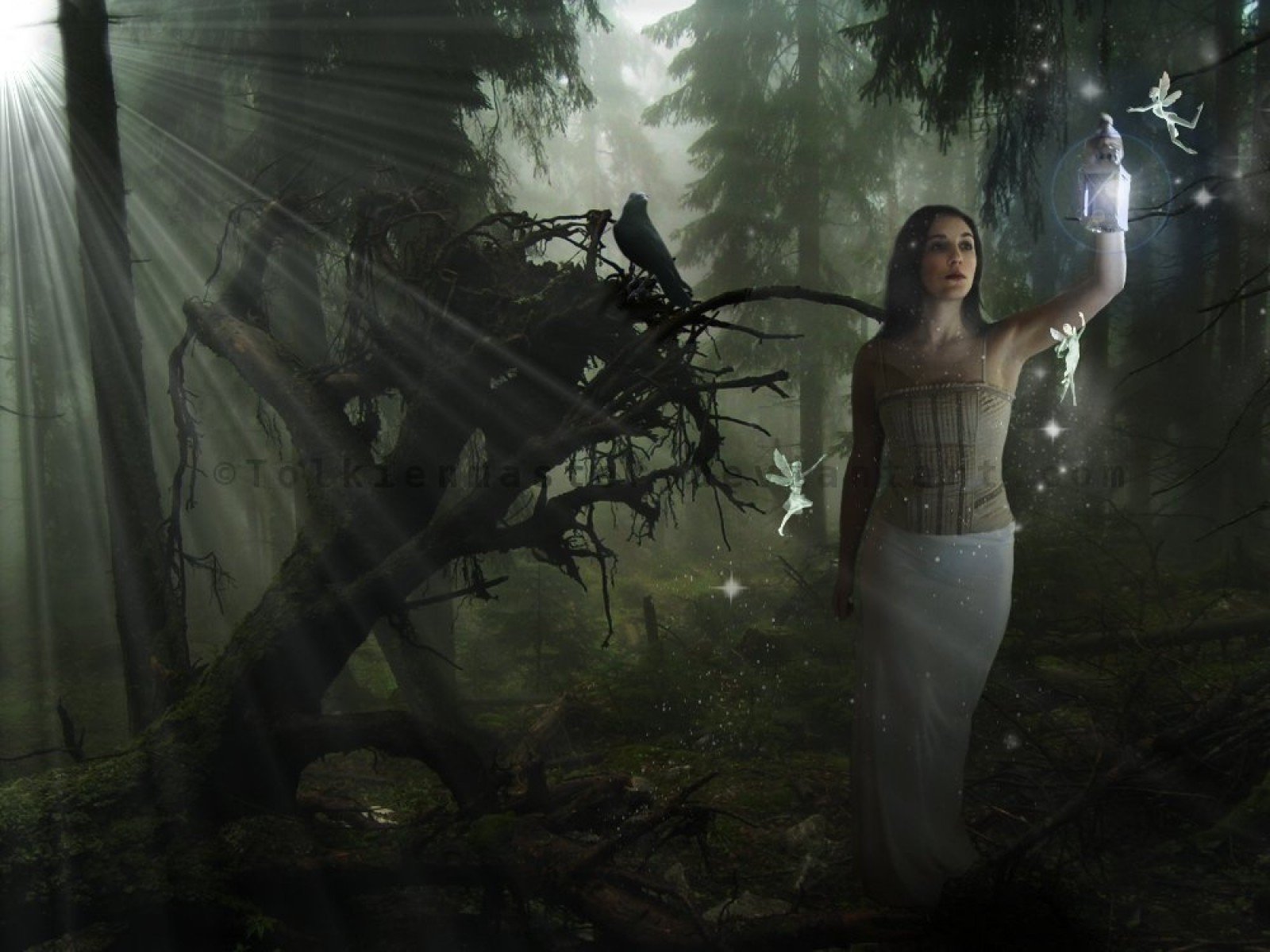 Enigmatic Glow: Dark Woman in the Mystical Forest | HD Wallpaper