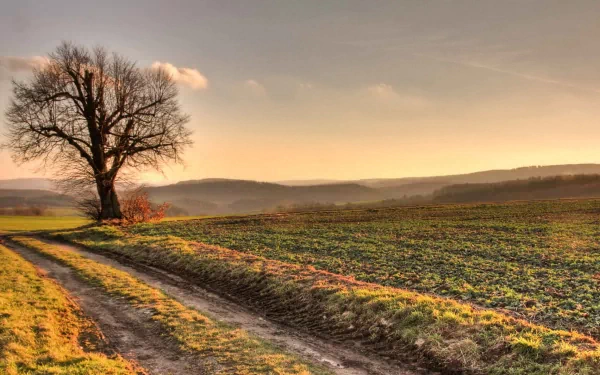 Computer Desktop Path Desktop Wallpapers, Phone Wallpaper, PFP, Gifs ...