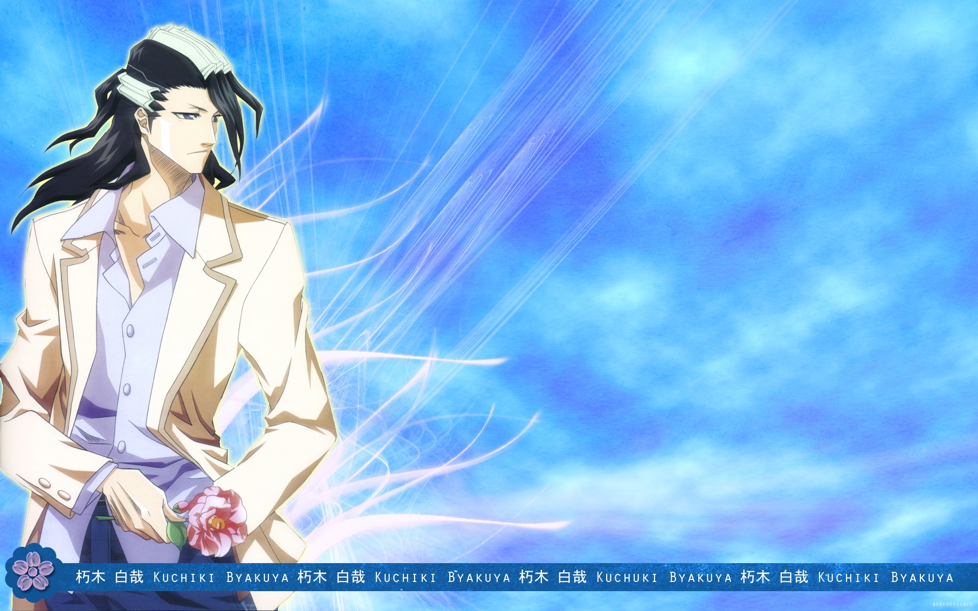 Download Byakuya Kuchiki Anime Bleach HD Wallpaper