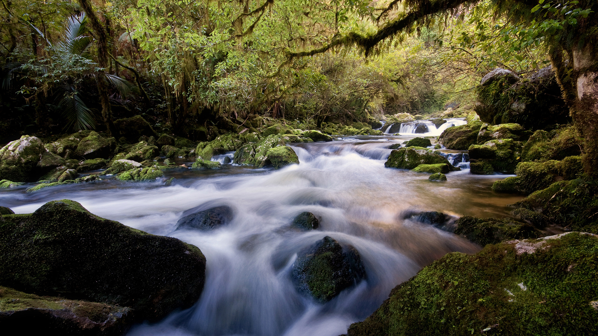 Download Nature Stream HD Wallpaper