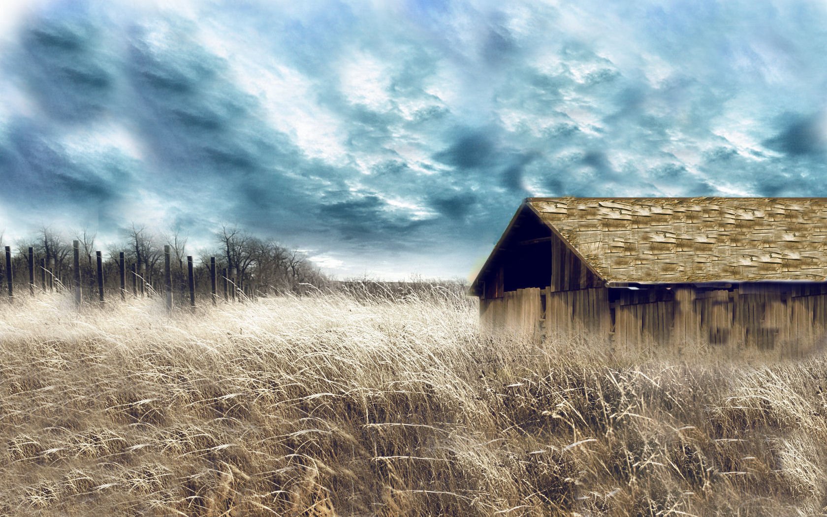 Serene Fields: Stunning Nature HD Wallpaper | 1680x1050 | Wallpaper Abyss