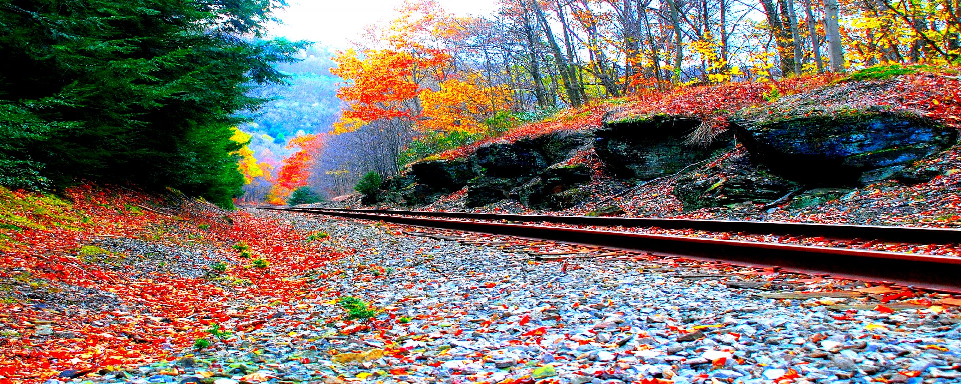 Autumn Rails: A Stunning HD Journey Through Fall Foliage