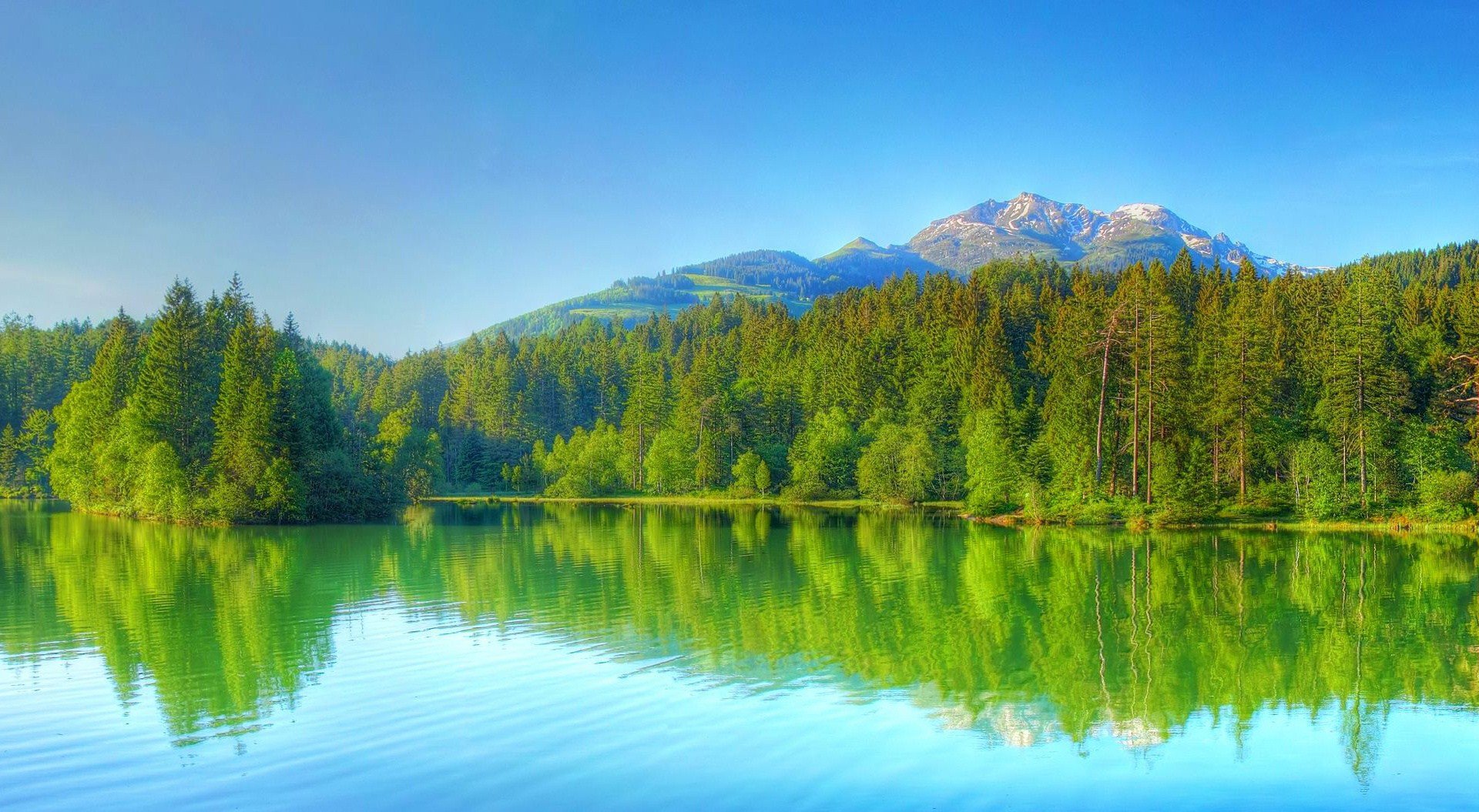 Download Nature Reflection Wallpaper