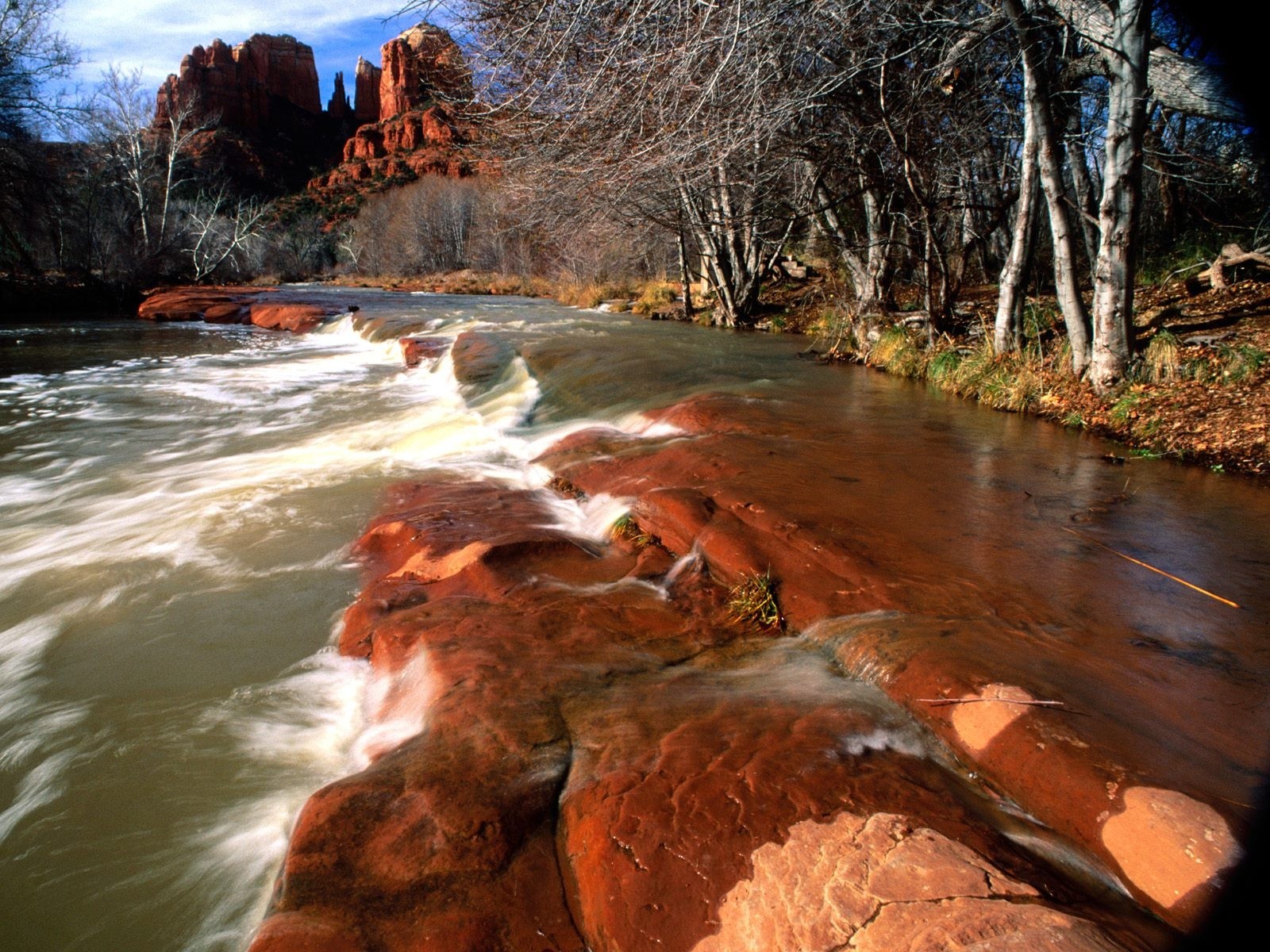 Download Nature River Wallpaper