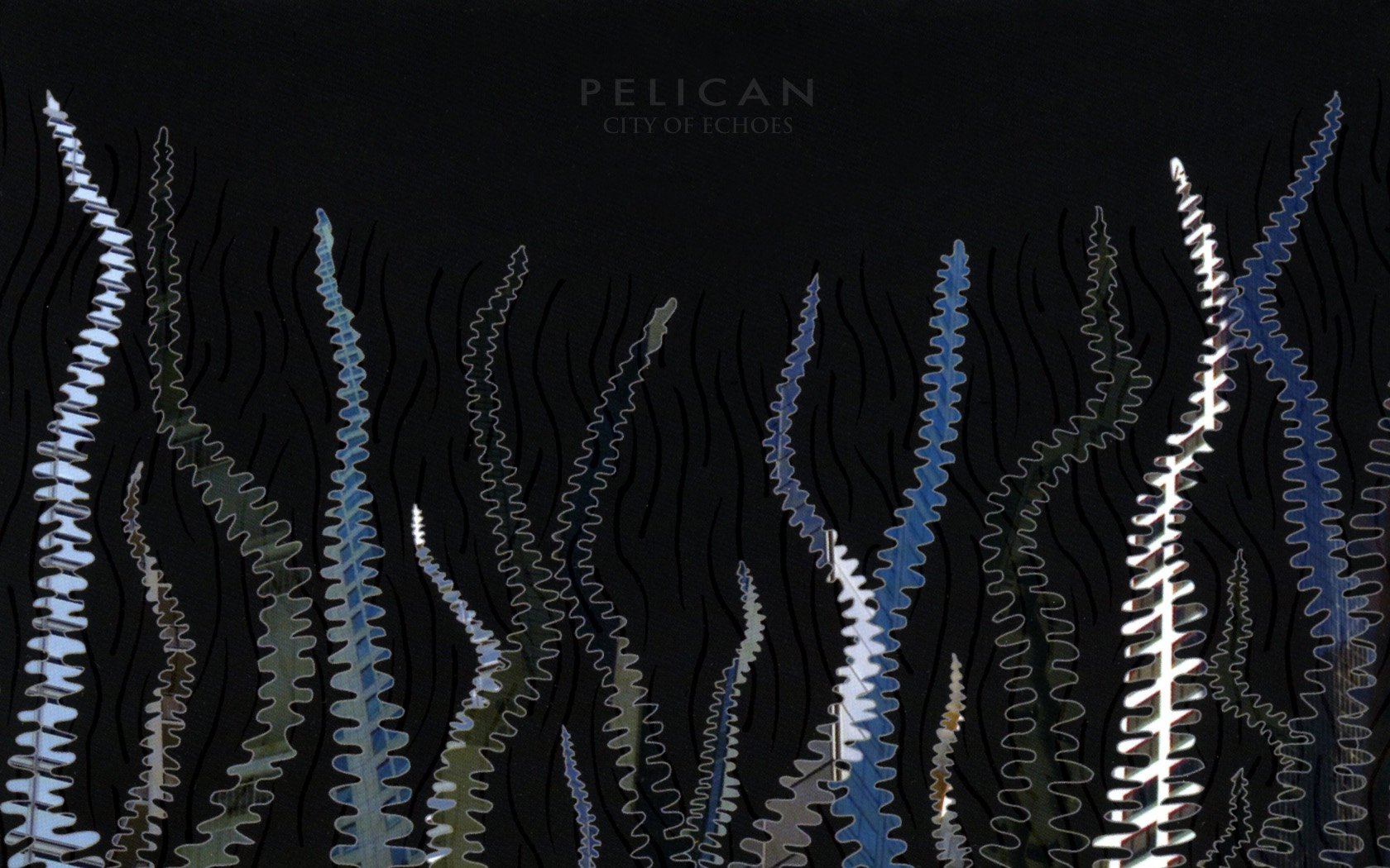 Pelican Melody: HD Wallpaper of Musical Waves