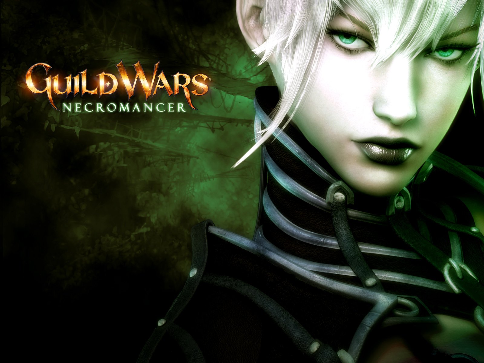 HD Wallpaper: Guild Wars Necromancer