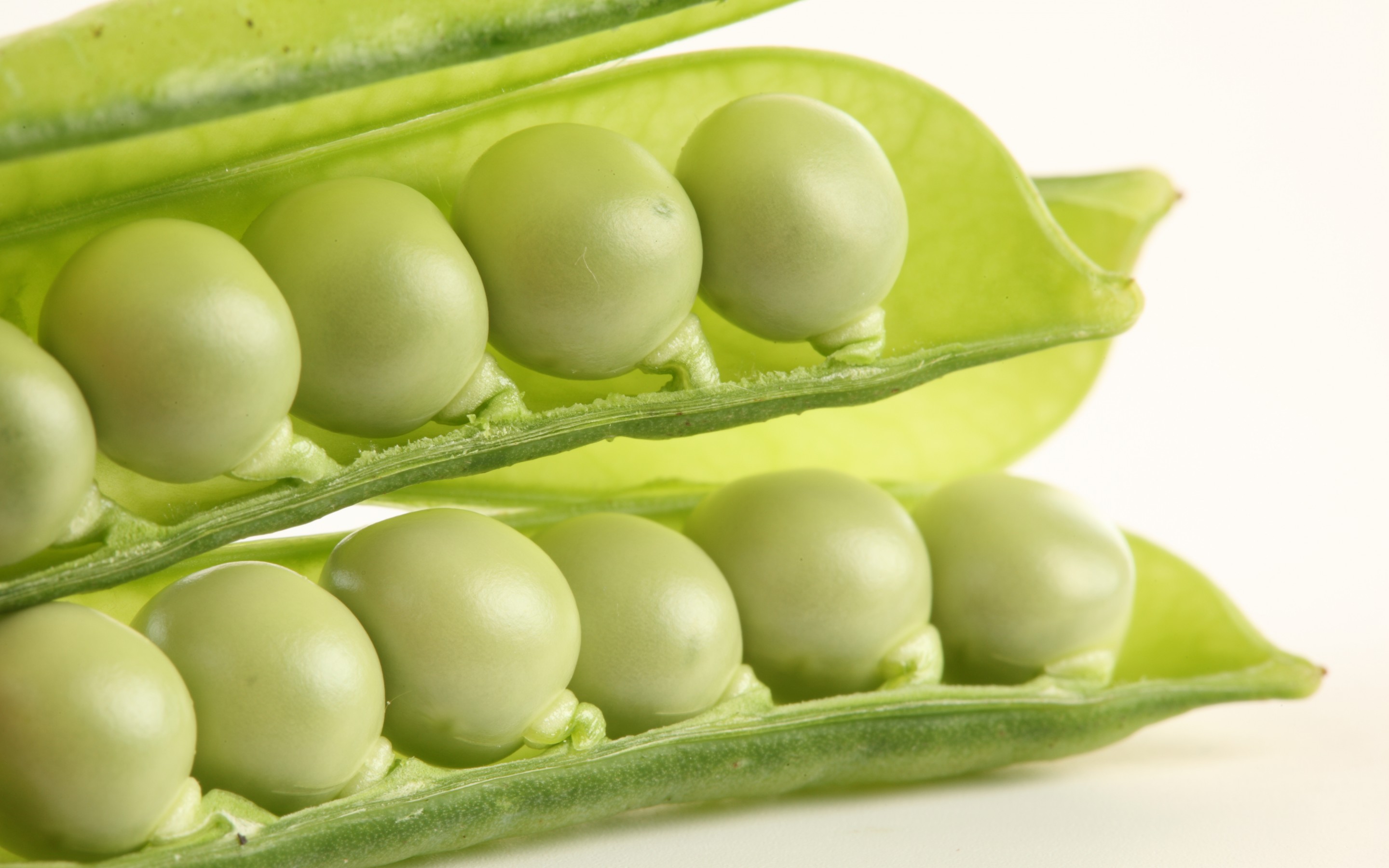Food Pea HD Wallpaper