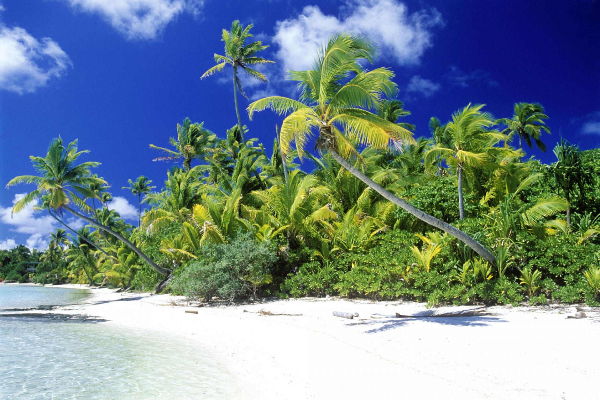 Tropical Beach Paradise HD Wallpaper: Nature’s Coastal Serenity ...