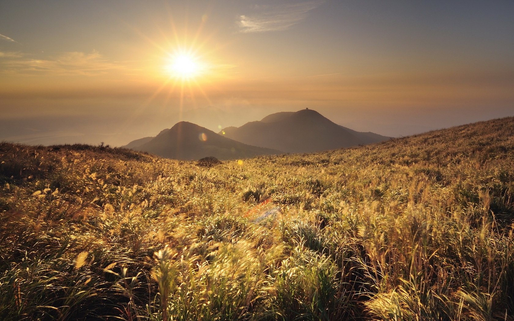 Download Nature Sunbeam Wallpaper | 1680x1050 | Wallpaper Abyss