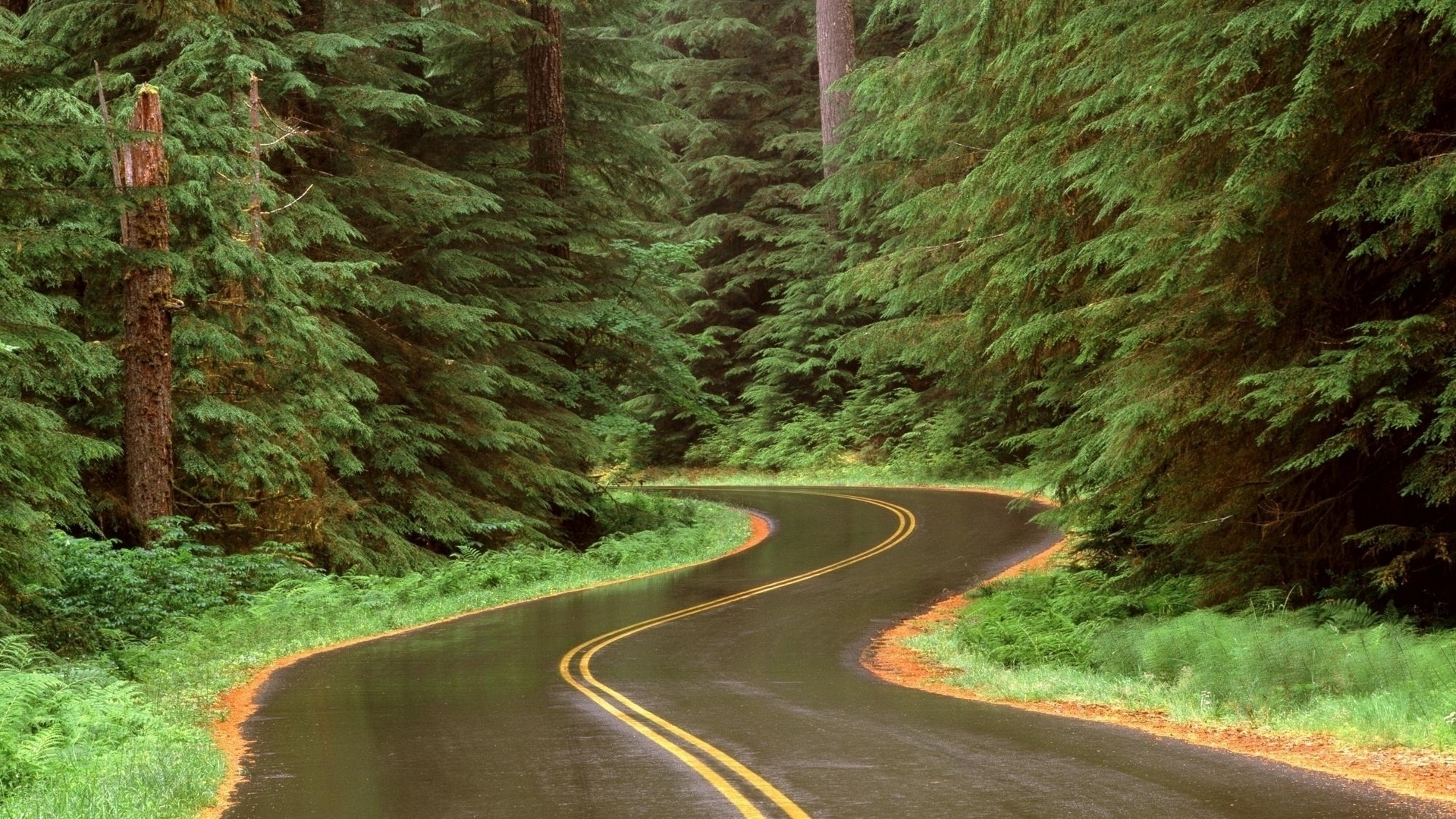Download Man Made Road HD Wallpaper