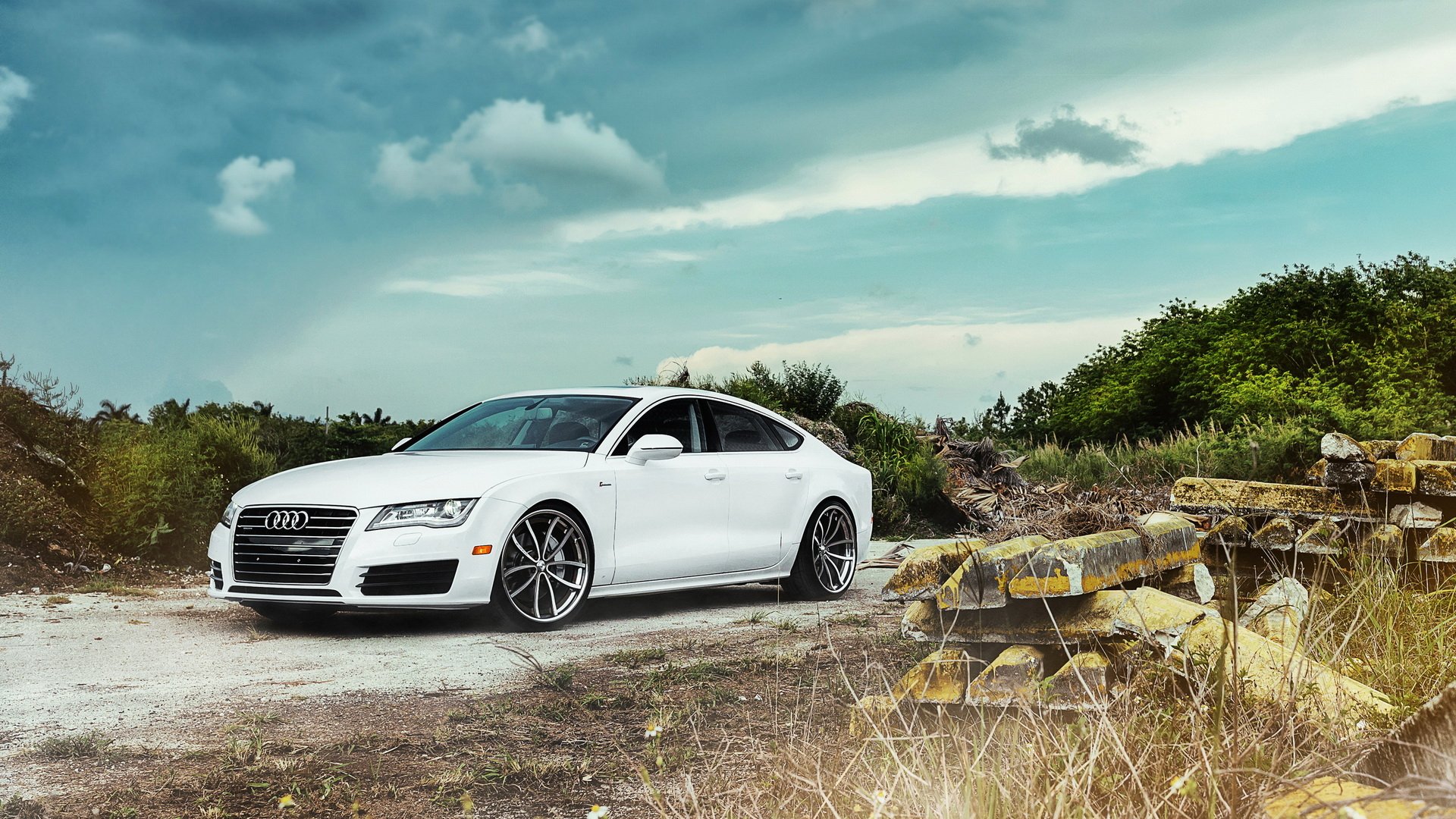 Sleek Audi Elegance: HD Vehicle Wallpaper in Crisp White