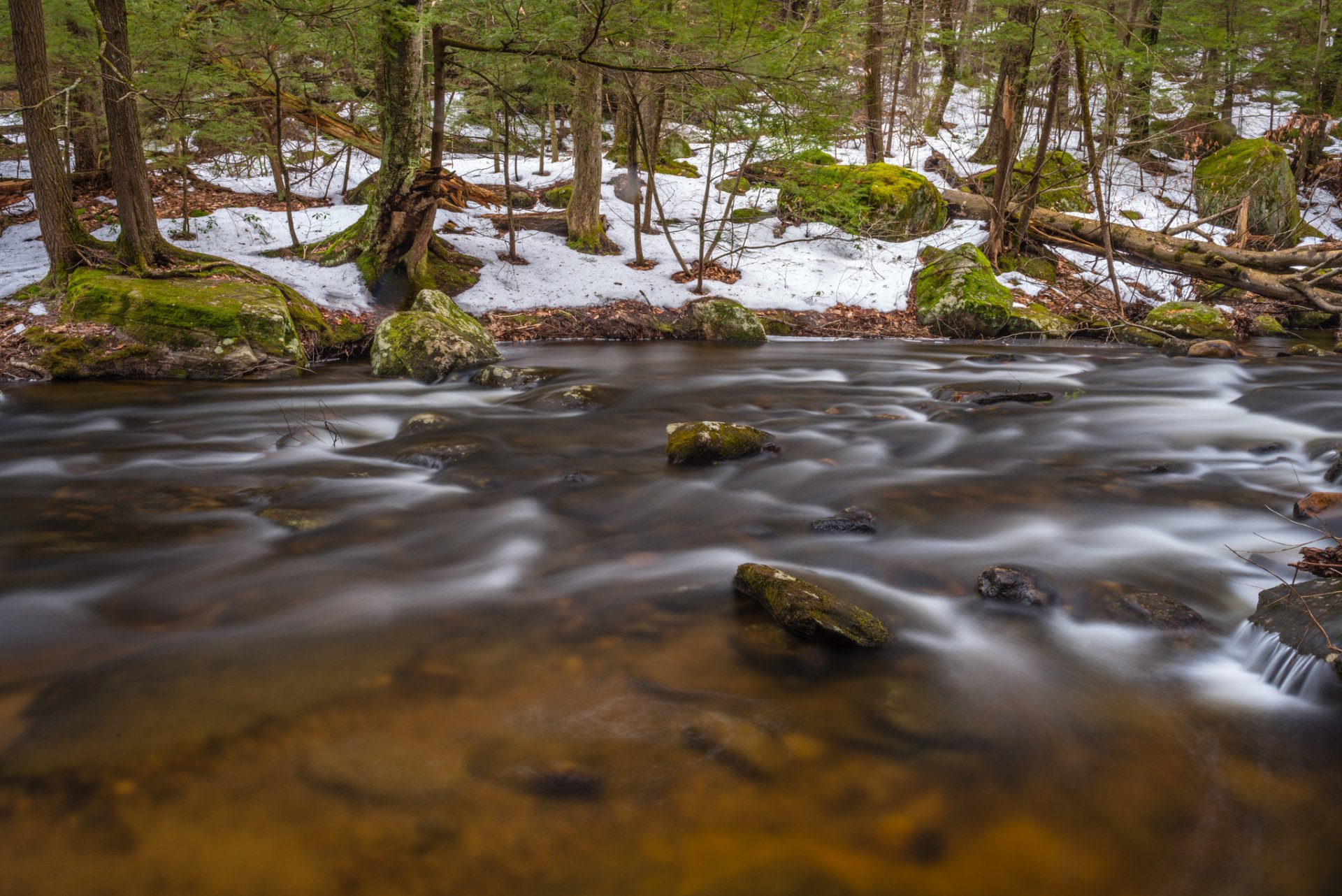 Tranquil Forest Stream — HD Nature Wallpaper | 2048x1367 | Wallpaper Abyss