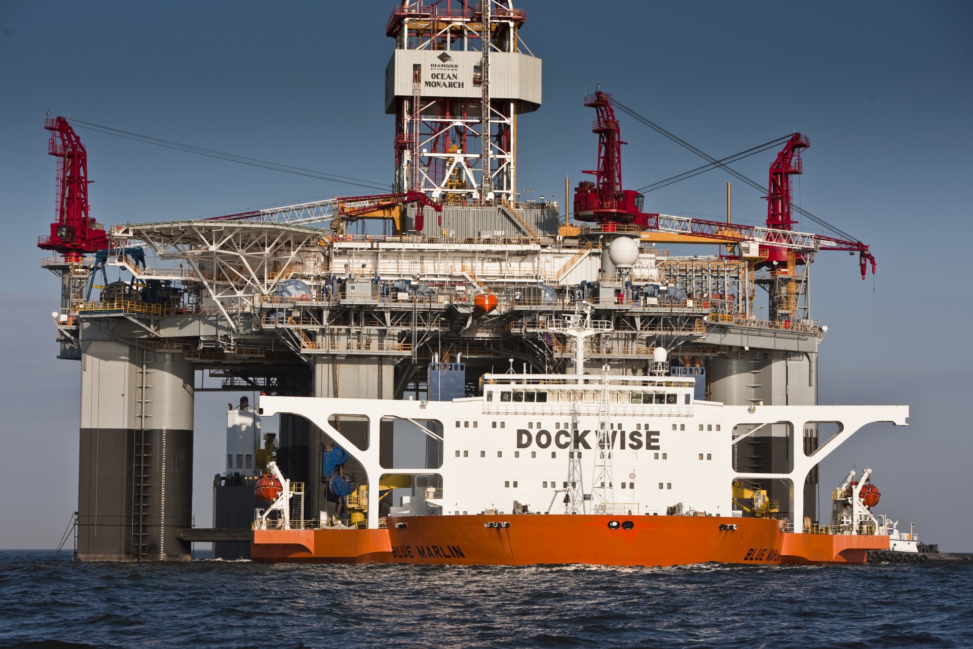 Download Man Made Ocean Monarch 4k Ultra HD Wallpaper