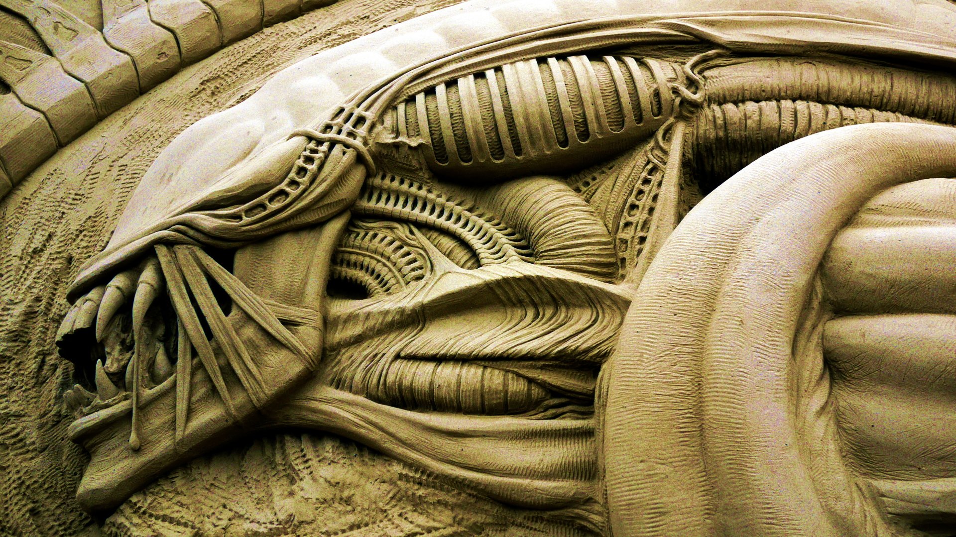 Download Movie Alien 4k Ultra HD Wallpaper