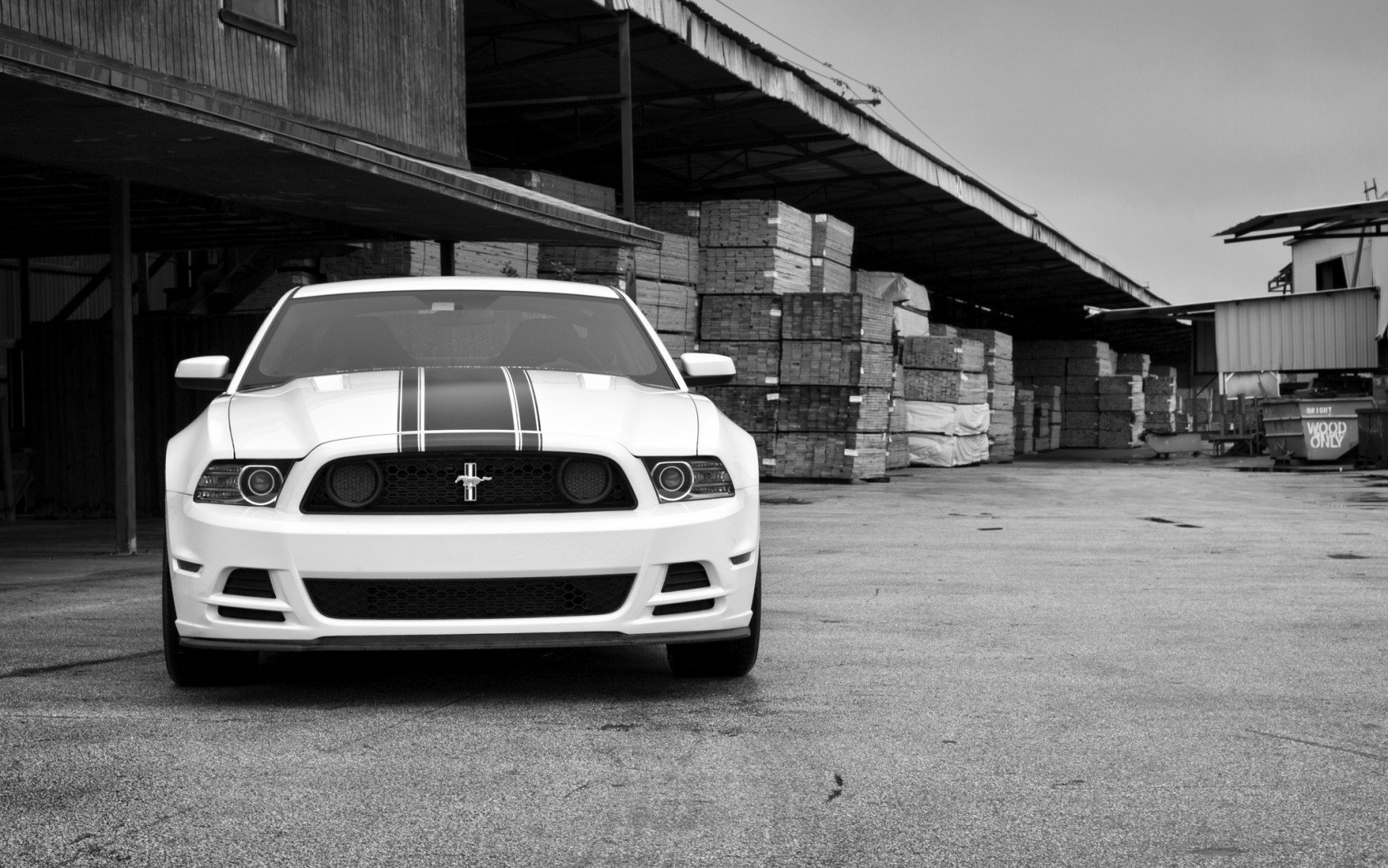 Ford Mustang Muscle Car HD Wallpaper – White Power and Performance ...