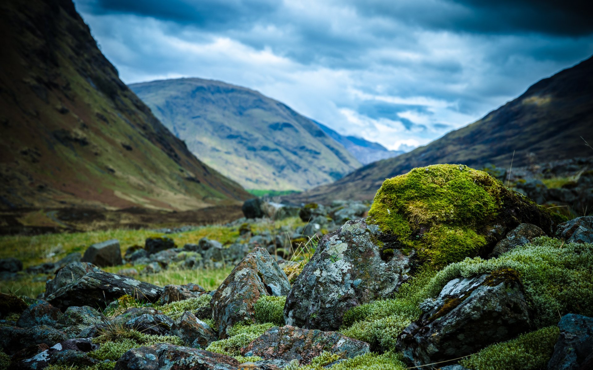 Highland Moss & Stone — Scotland 2K Quad HD Wallpaper