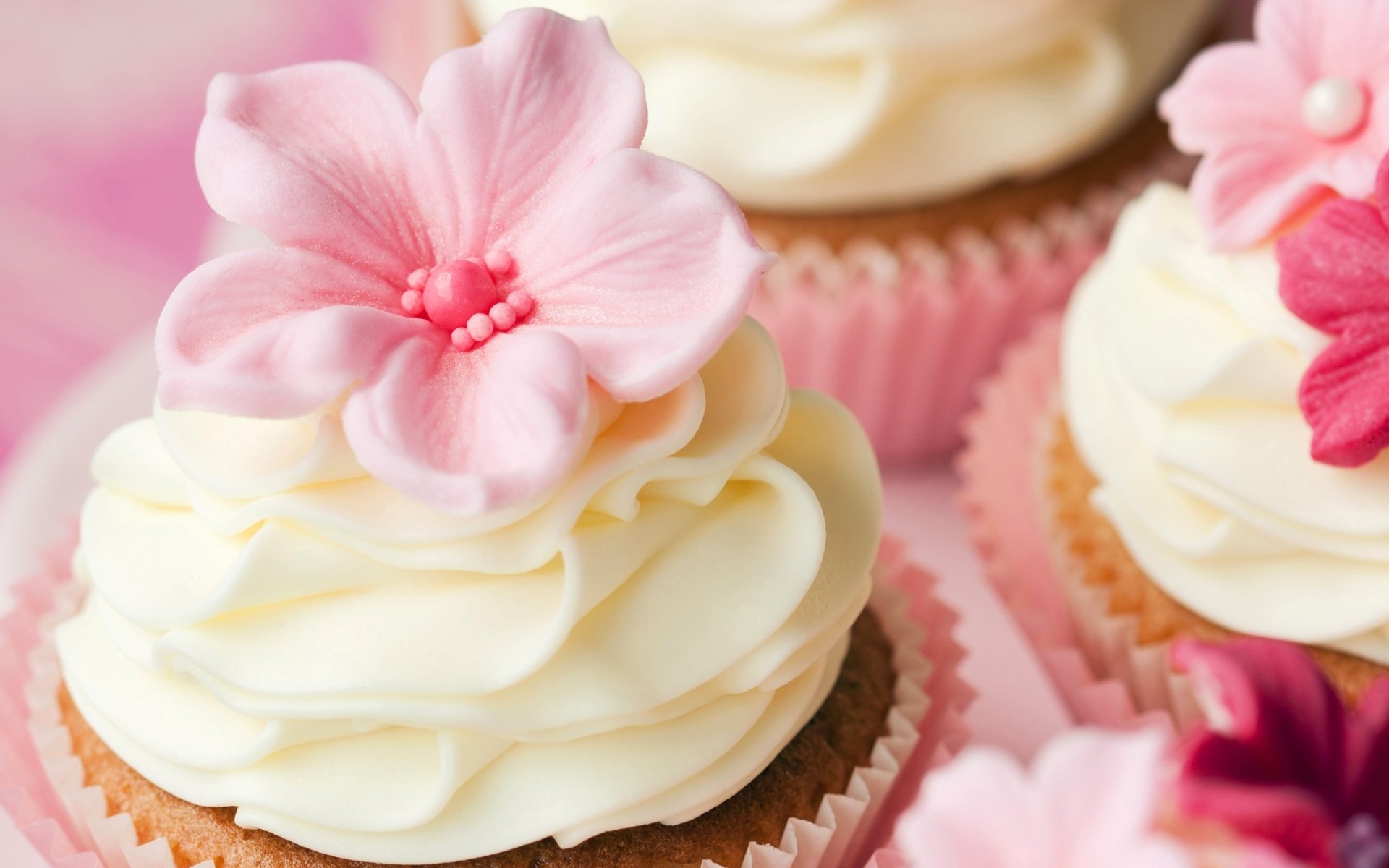 Delightful HD Cupcake Bliss: Sweet Floral Food Art | 2560x1600 ...