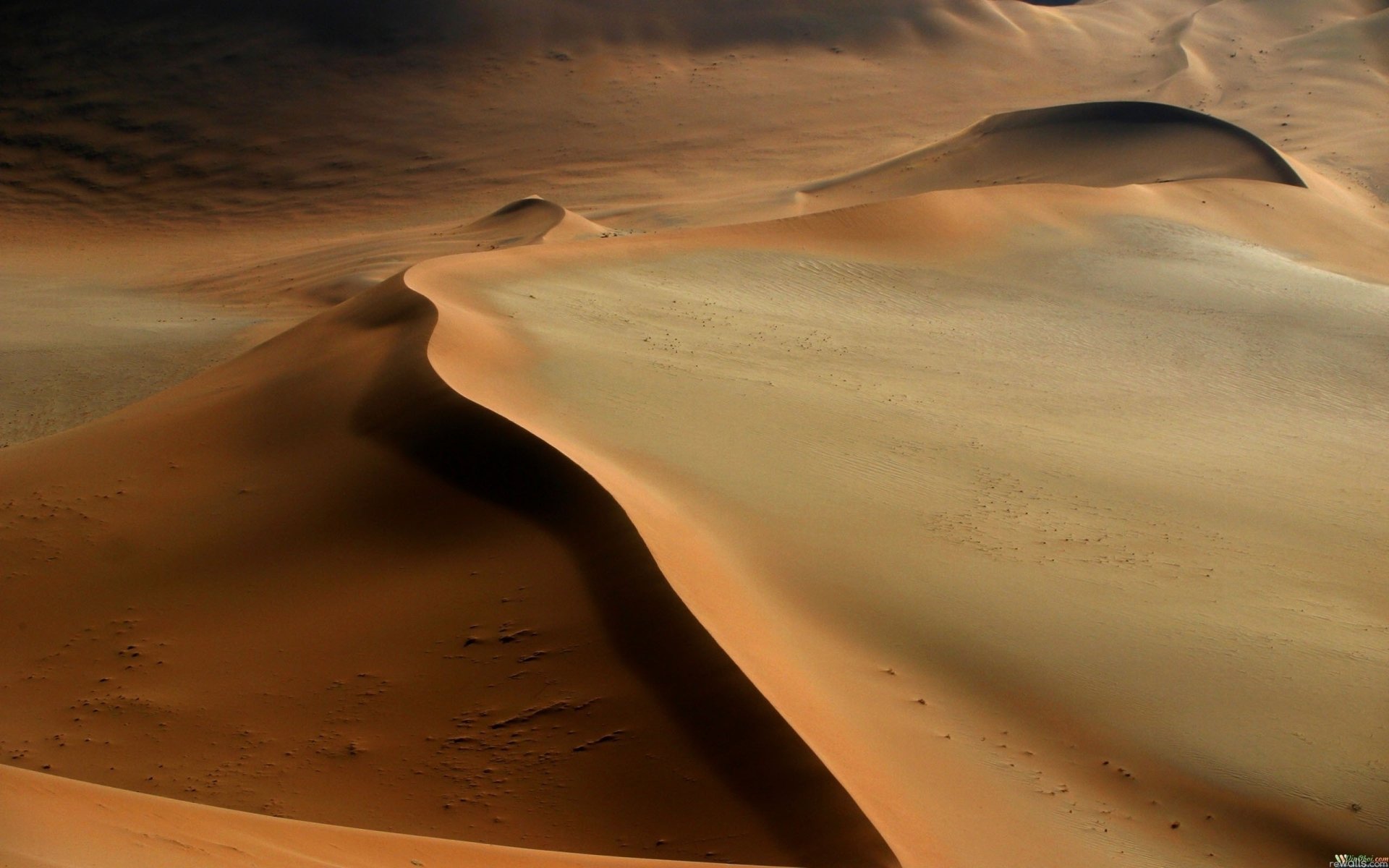 Majestic Desert Waves HD Wallpaper | Nature's Golden Sands