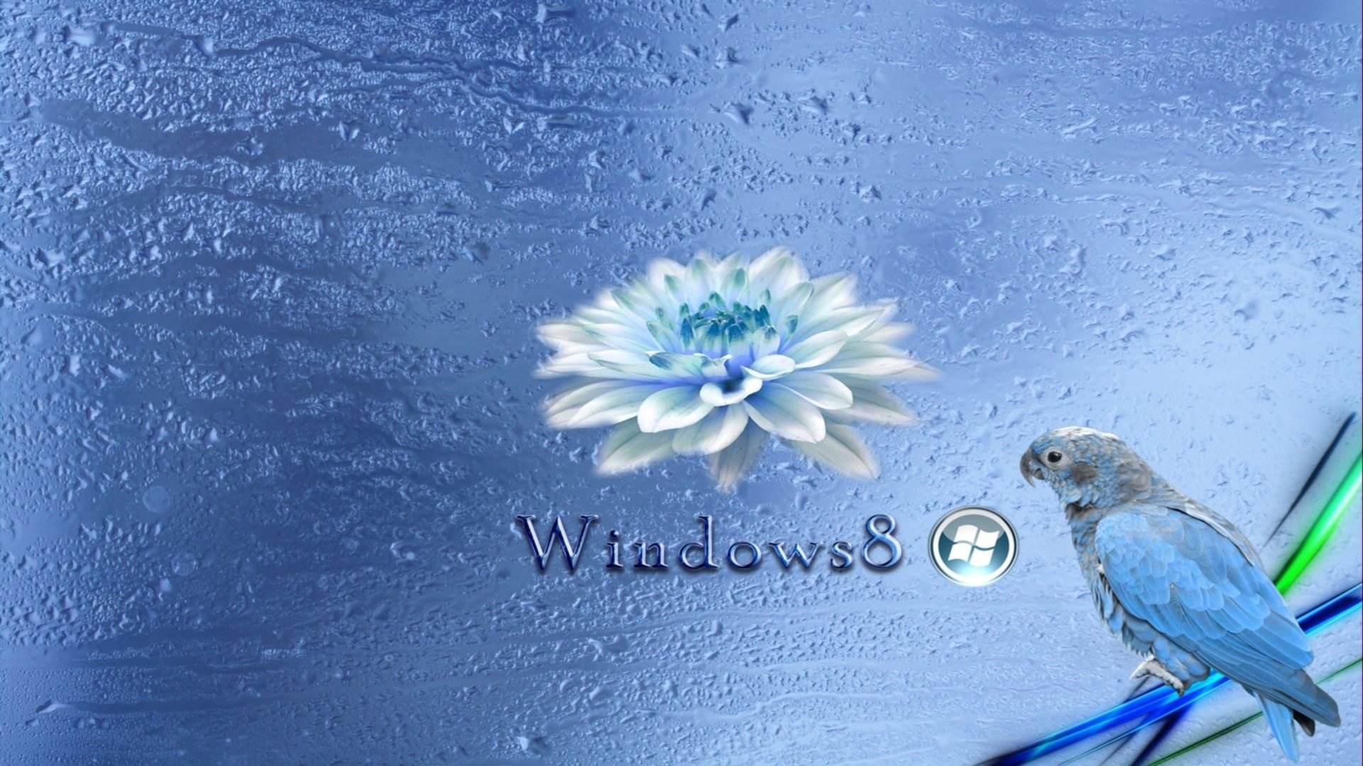 Windows 8 Tech Bloom HD Wallpaper